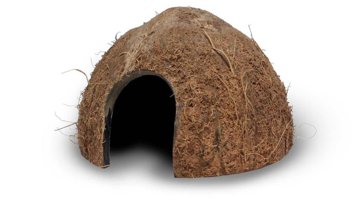 Coconut Hide – Reptilian Arts