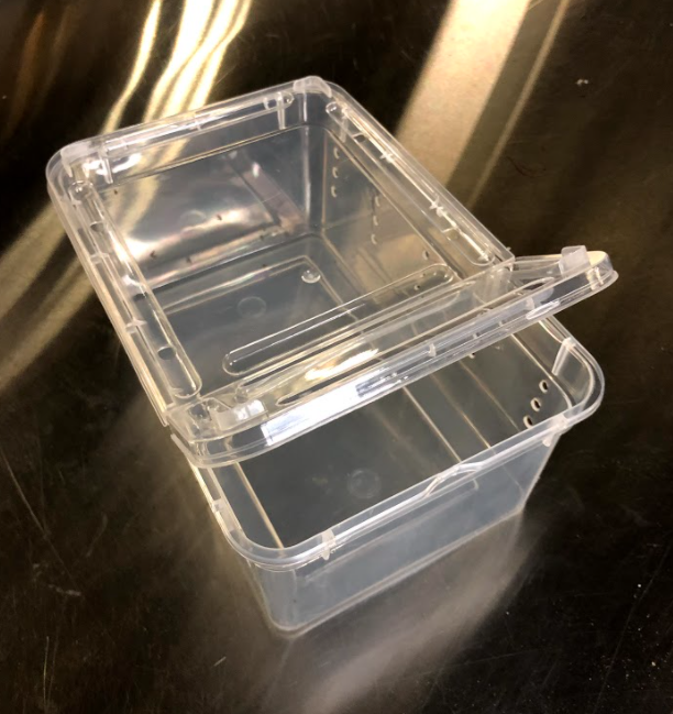Small clear keeper box – Reptilian Arts